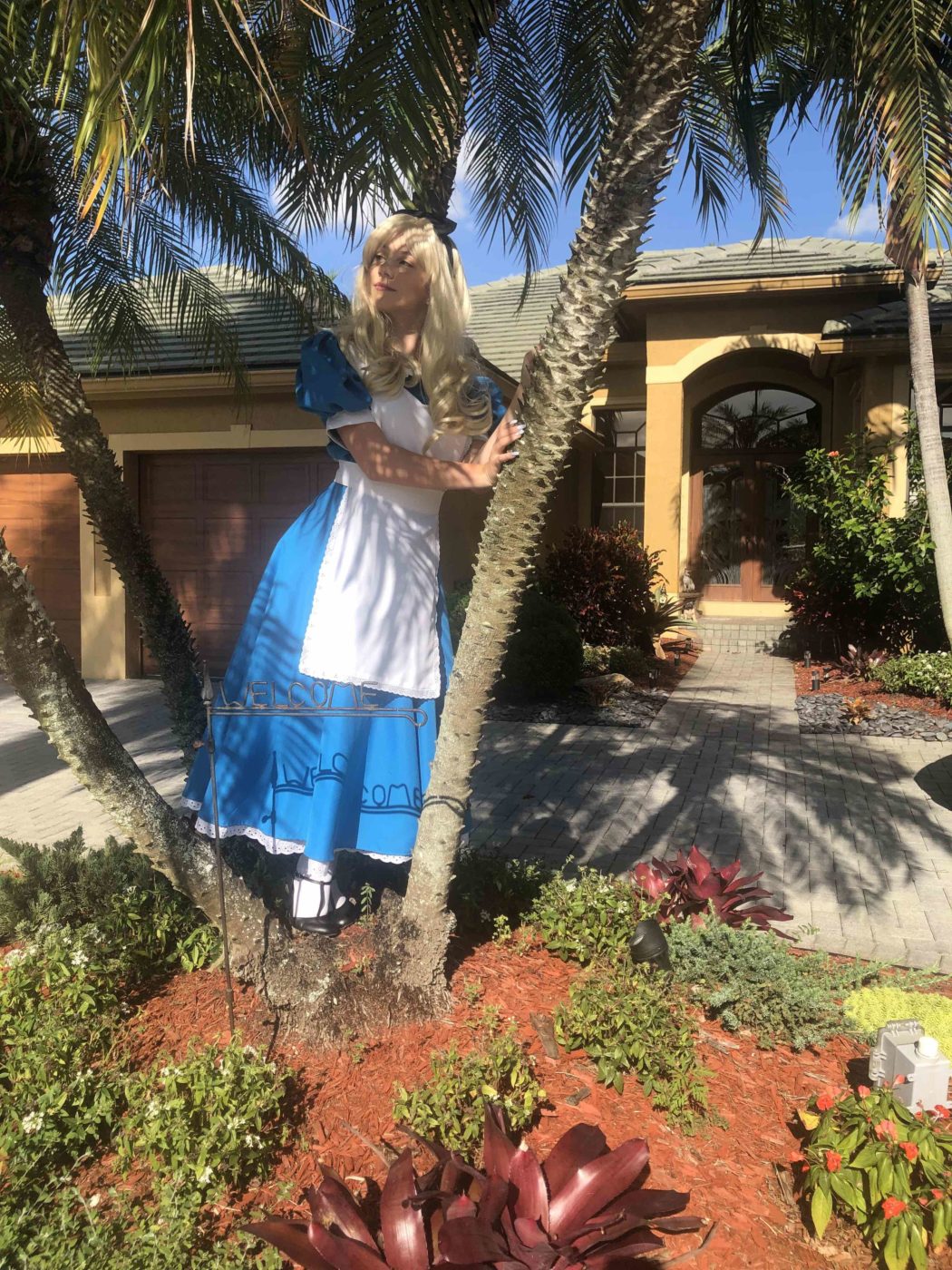 Alice Tumbles Through the Looking Glass, Into Miami! - Party Princess ...
